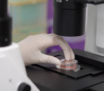 About Us - ACCURATE | Technology Platform of Organoid in Scientific ...