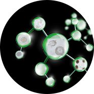 Technology - ACCURATE | Technology Platform of Organoid in Scientific ...