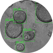 Technology - ACCURATE | Technology Platform of Organoid in Scientific ...