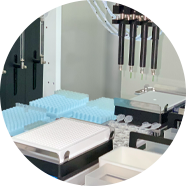 Technology - ACCURATE | Technology Platform of Organoid in Scientific ...