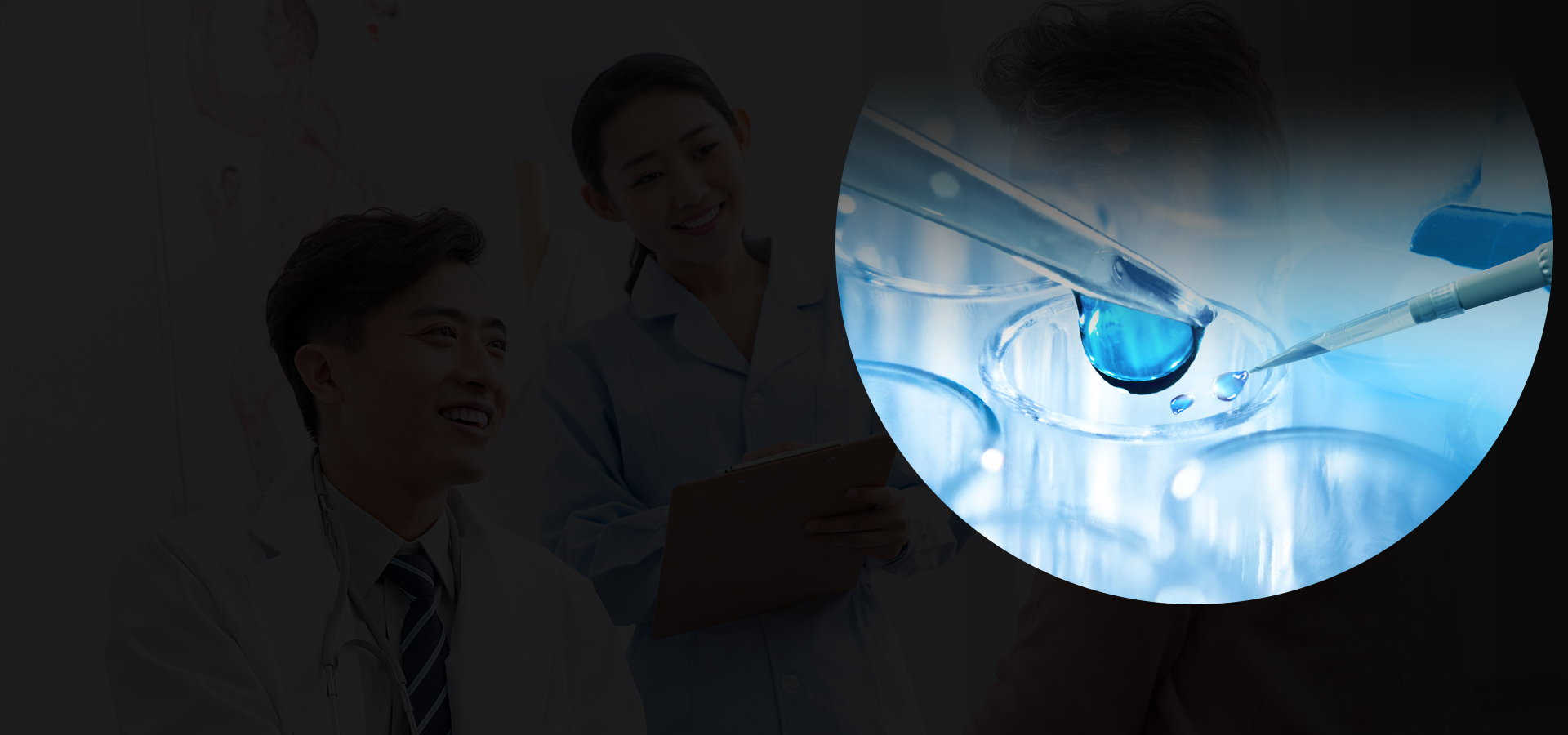 New Drug R&D Service - ACCURATE | Technology Platform of Organoid in ...