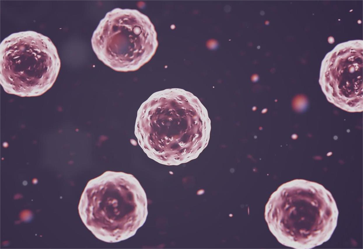 New Drug R&D Service - ACCURATE | Technology Platform of Organoid in ...